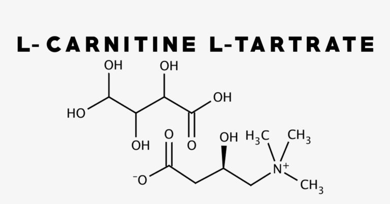 L-Carnitine L-Tartrate: Uses, Side Effects, Interactions, Dosage and ...