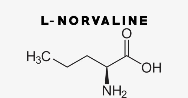 L-Norvaline: Uses, Side Effects, Interactions, Dosage and Supplements